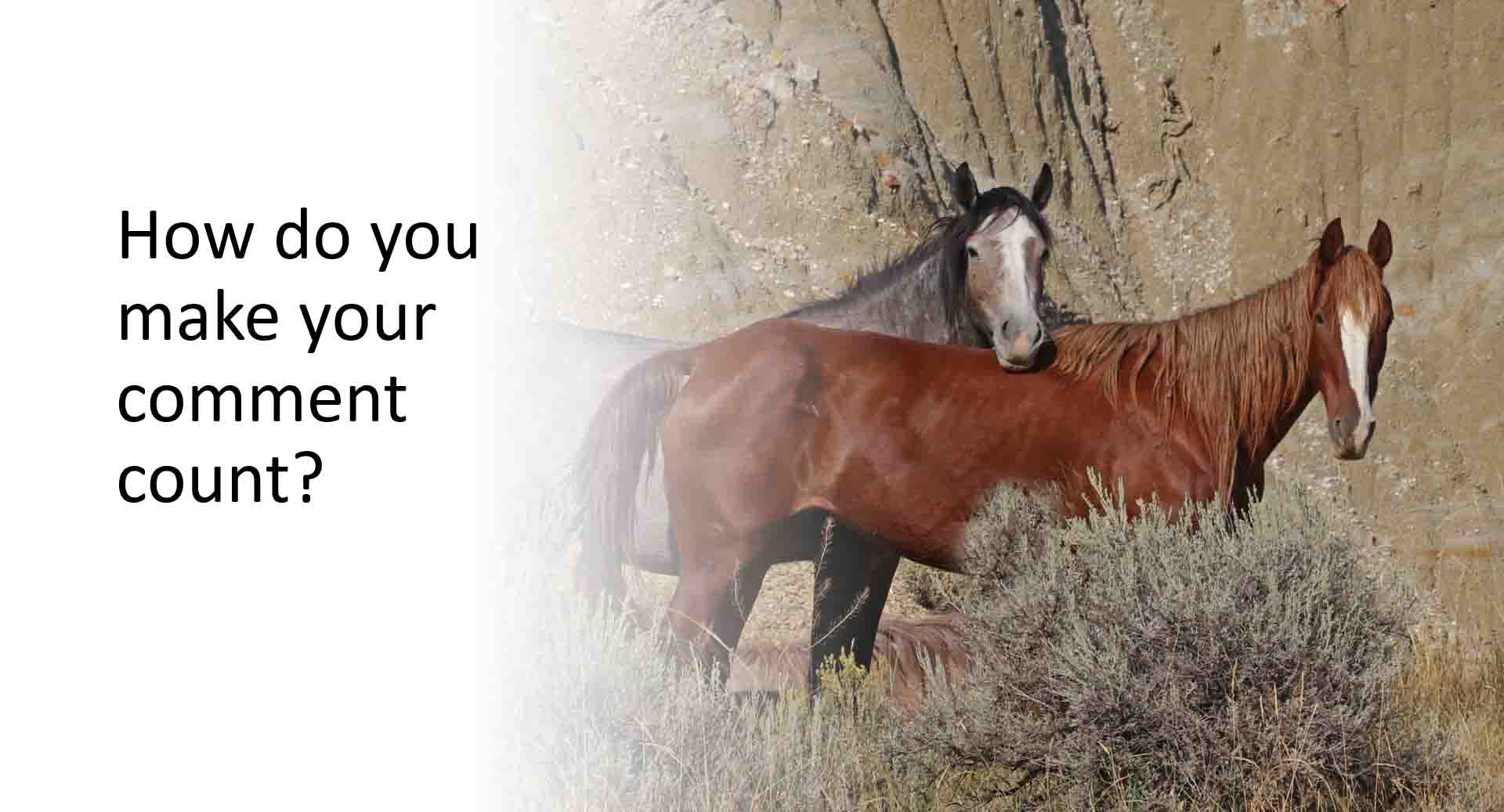 1/8/2023 Zoom webinar – CHWHA