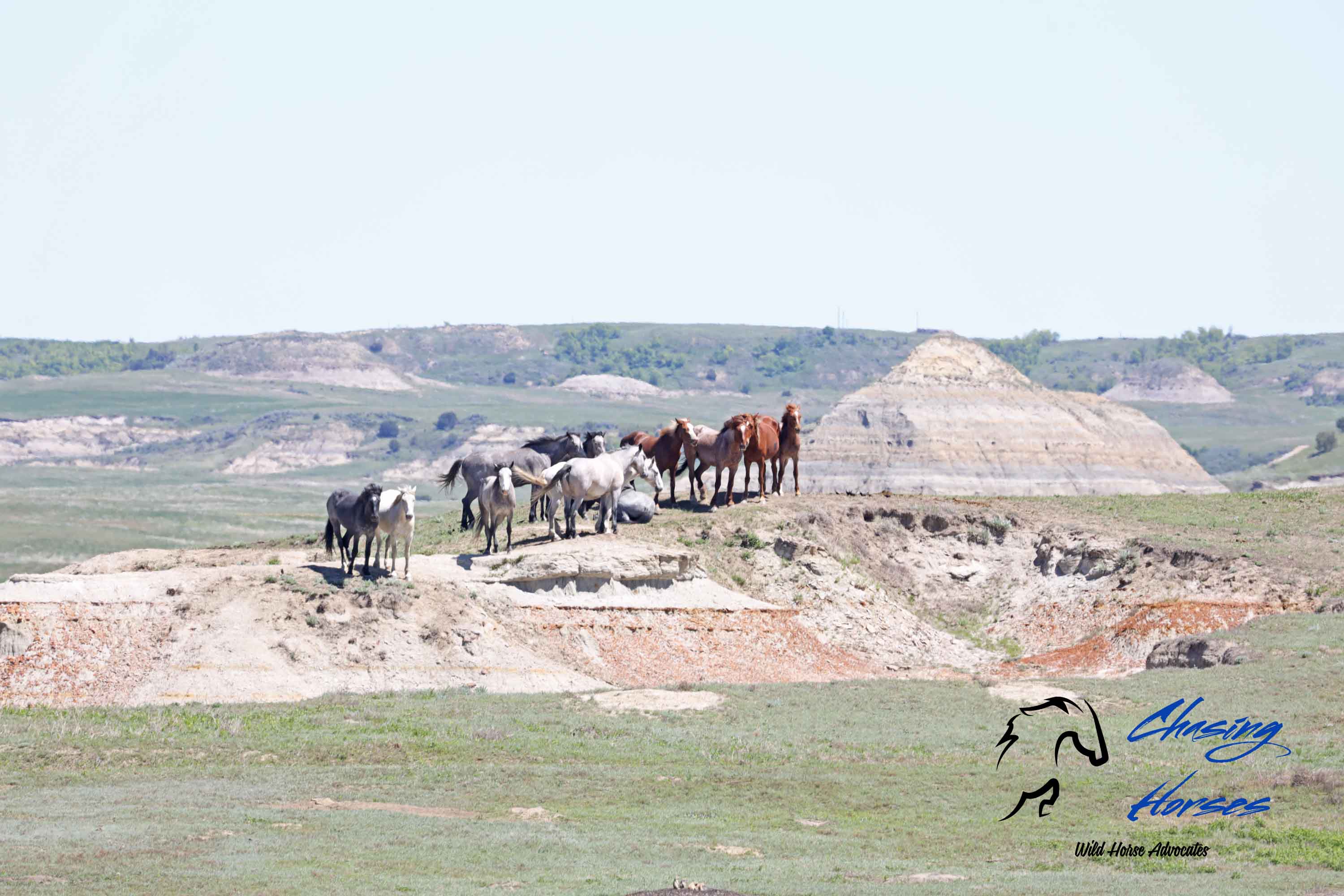 Compendium Update – CHWHA