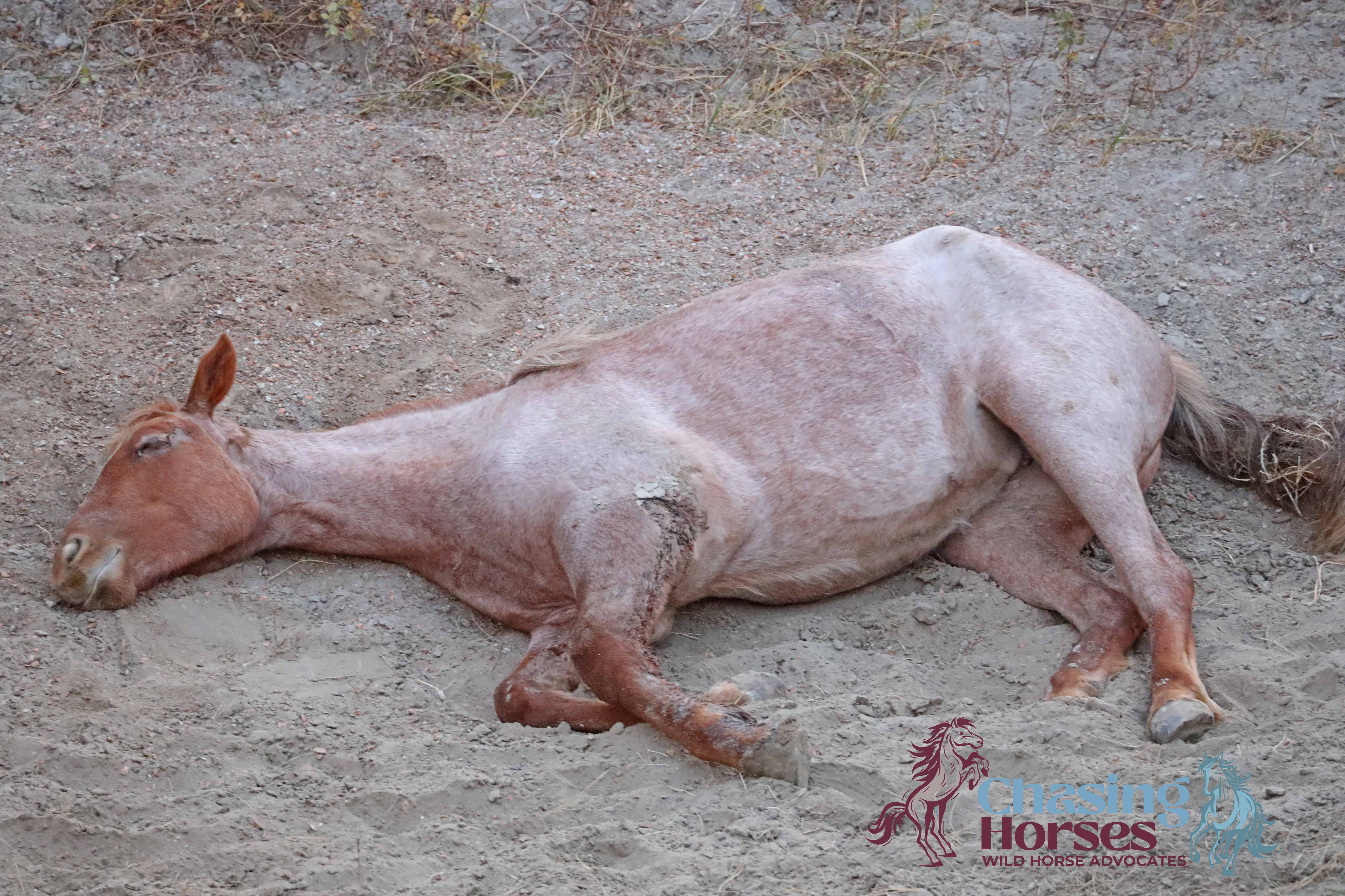 A Hellish End to a Hellish Week!!! – CHWHA