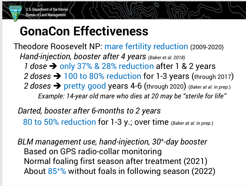 GonaCon Recap – CHWHA